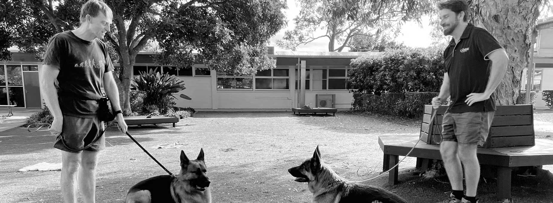 Dog Training Brisbane & Sunshine Coast :The Canine Classroom